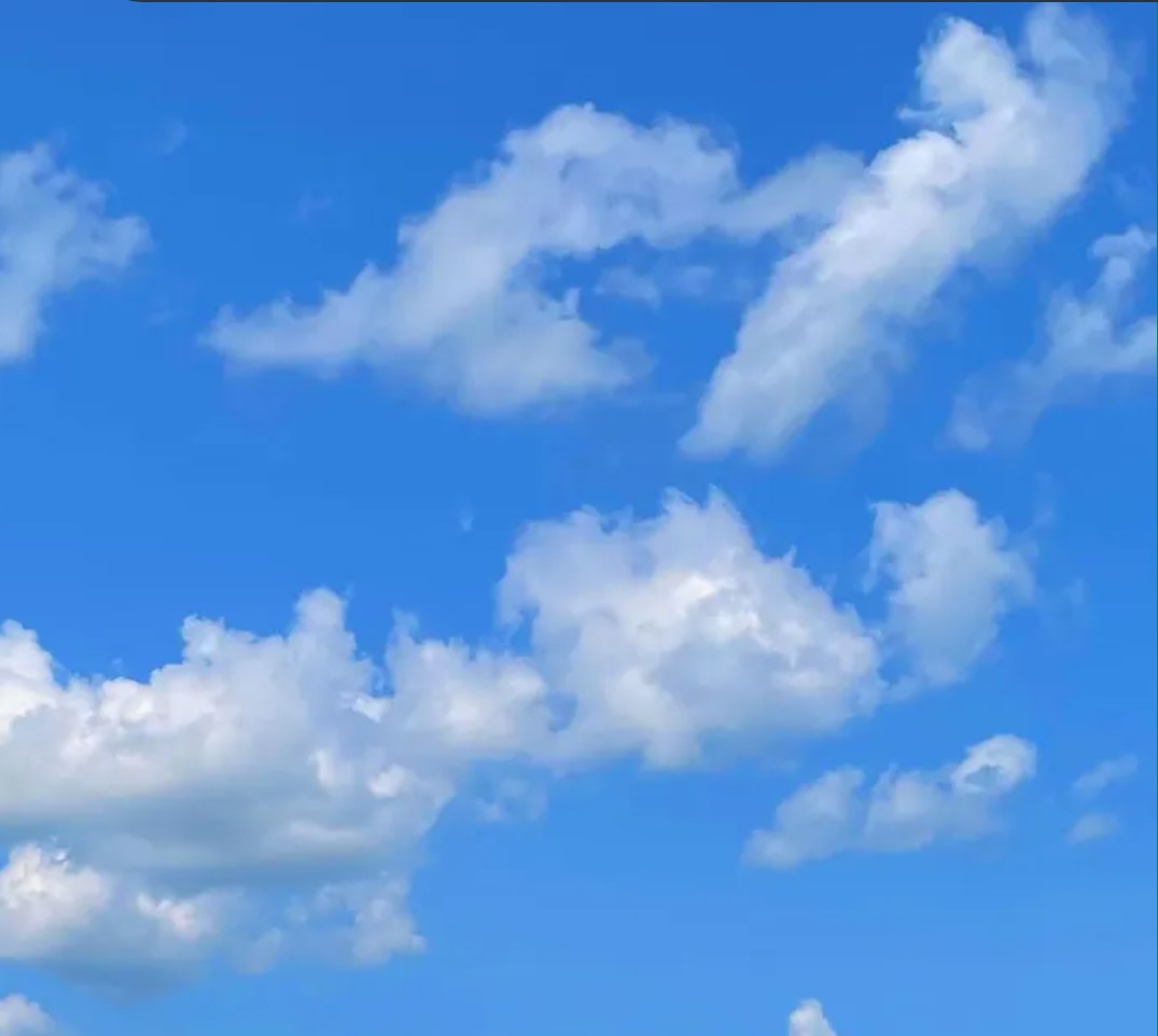 Bluesky говорит, что за последние 24 часа на платформу зарегистрировался 1 миллион человек ...