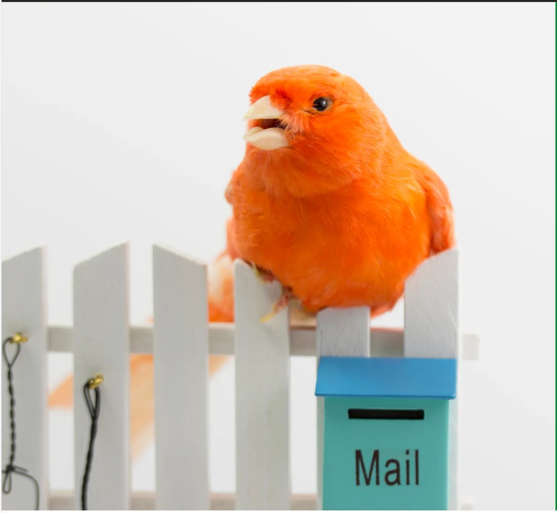 Postman запускает конструктор агентов ИИ на основе своей API-платформы | Форум MMGP