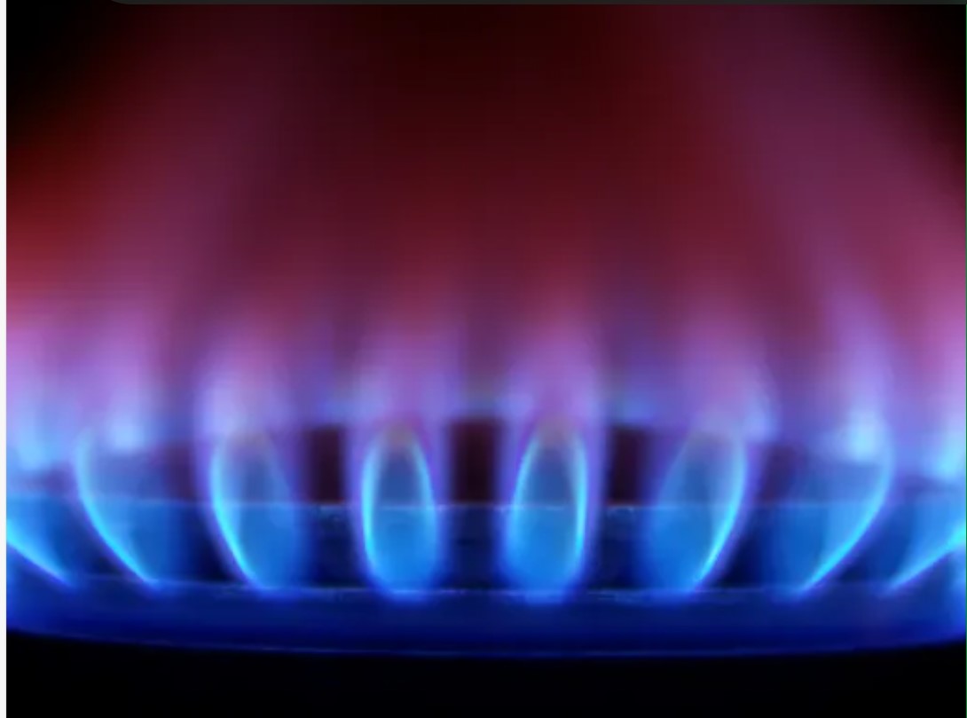 Выпускники SpaceX находят поддержку на Земле с их вдохновленной Марсом ...